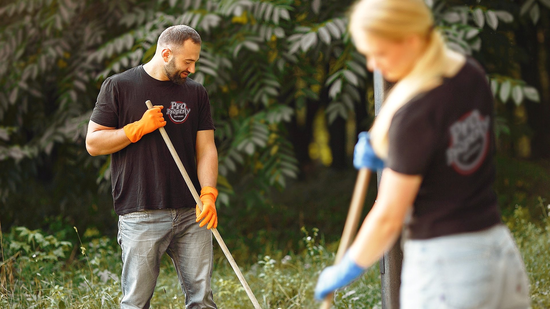 Service Standards in Property Maintenance